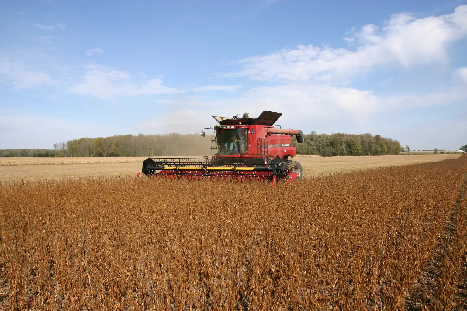 Agriculture in North Perth | Municipality of North Perth