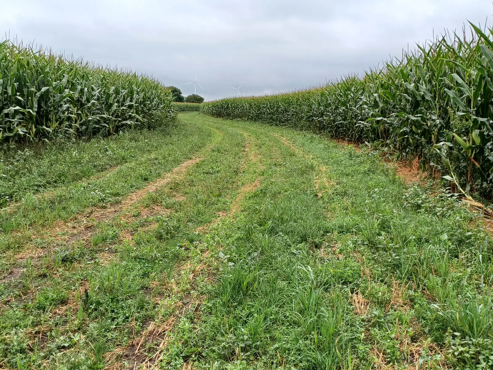 Farm Stewardship & Conservation | Municipality of North Perth